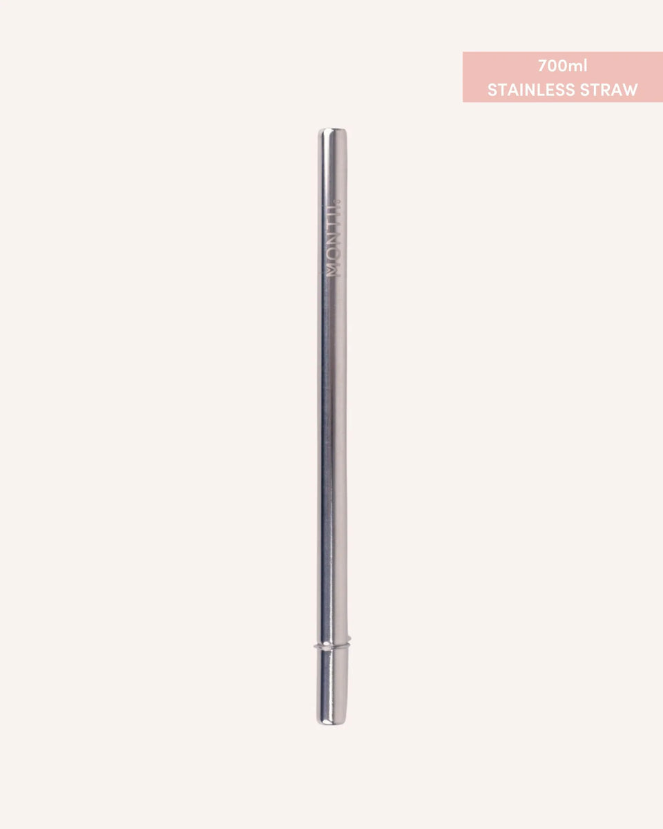 Smoothie Stainless Straw - 700ml – Little Poppy Lane